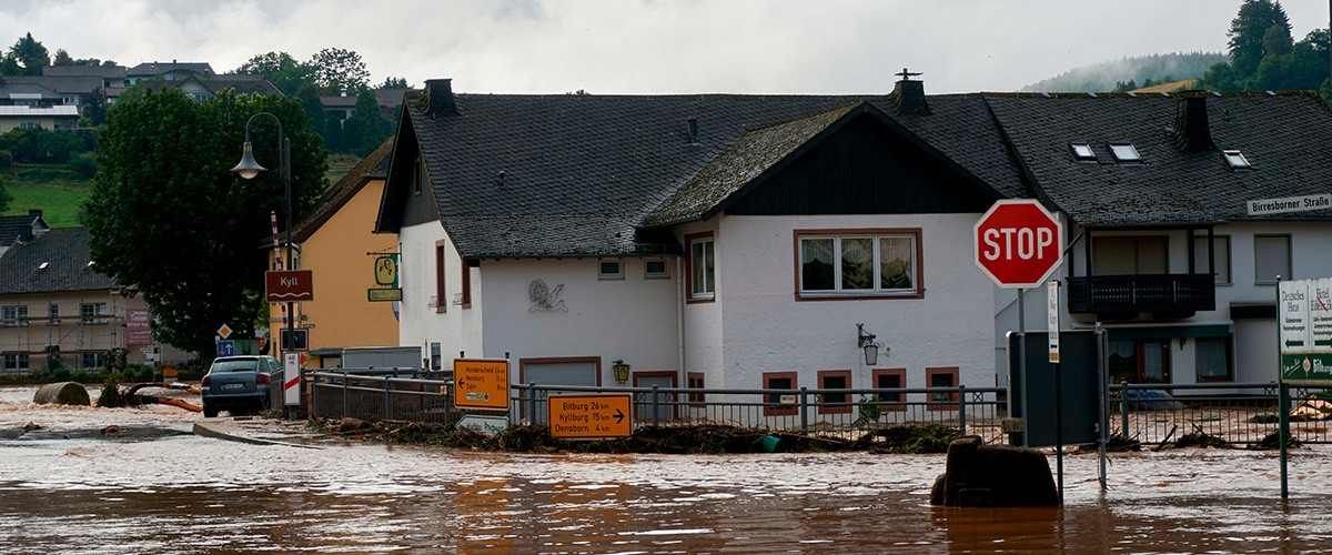 Elementarschden Was Ist Das